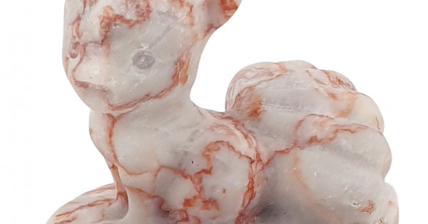 vulpix marble pokemon