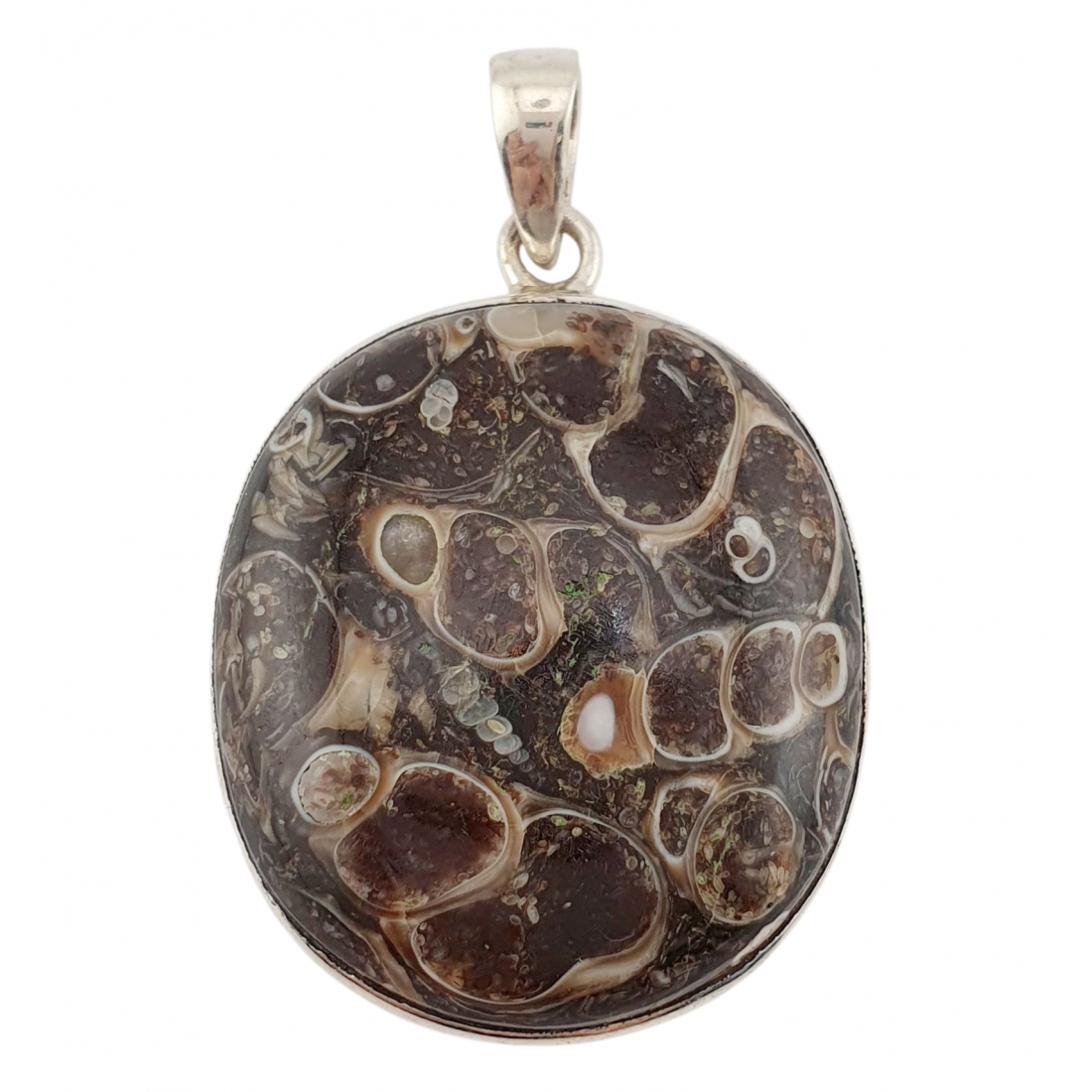 pendant silver fossil turritella agate