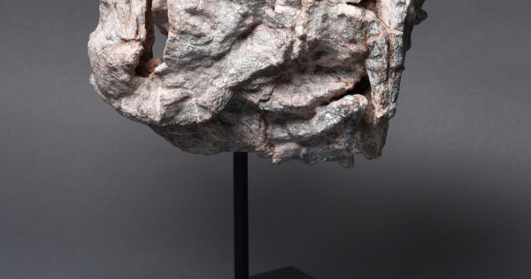 hyperodapedon (scaphonyx fisheri)