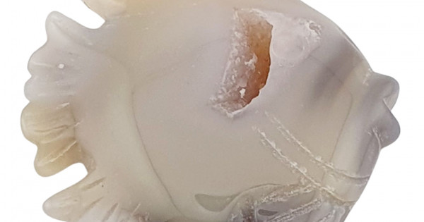 Fish agate 6 cm