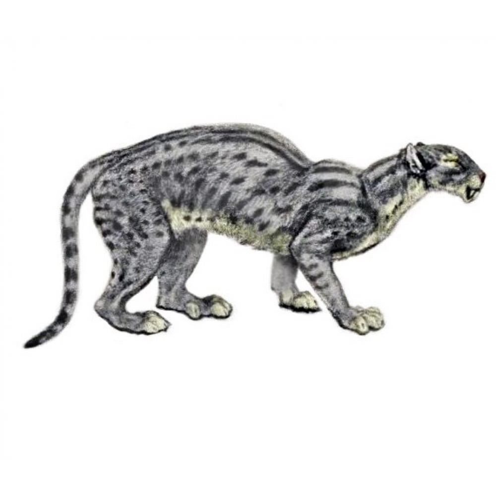 dinictis felina