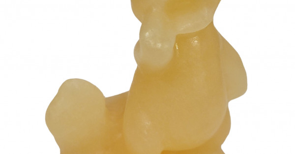 salamander orange calcite pokemon