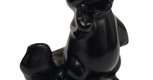 salamander black onyx pokemon