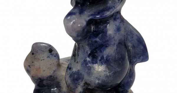 salamander sodalite pokemon