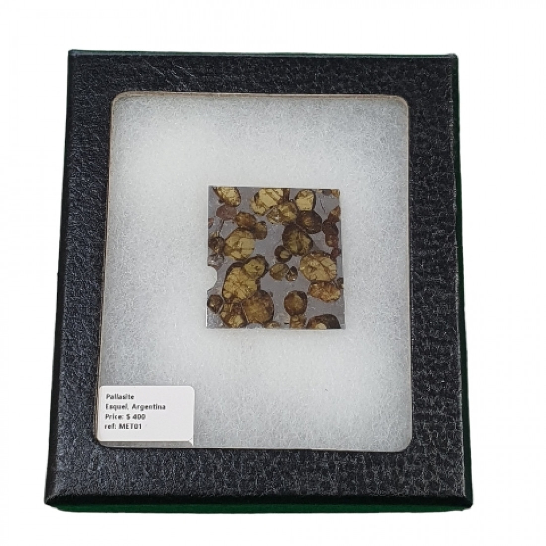 meteorite pallasite esquel