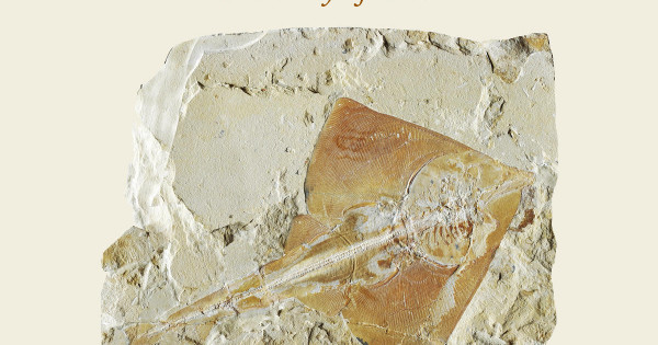 Livre les fossiles du liban englis the fossils of lebanon