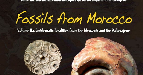 Fossils from Morocco - Volume 2a