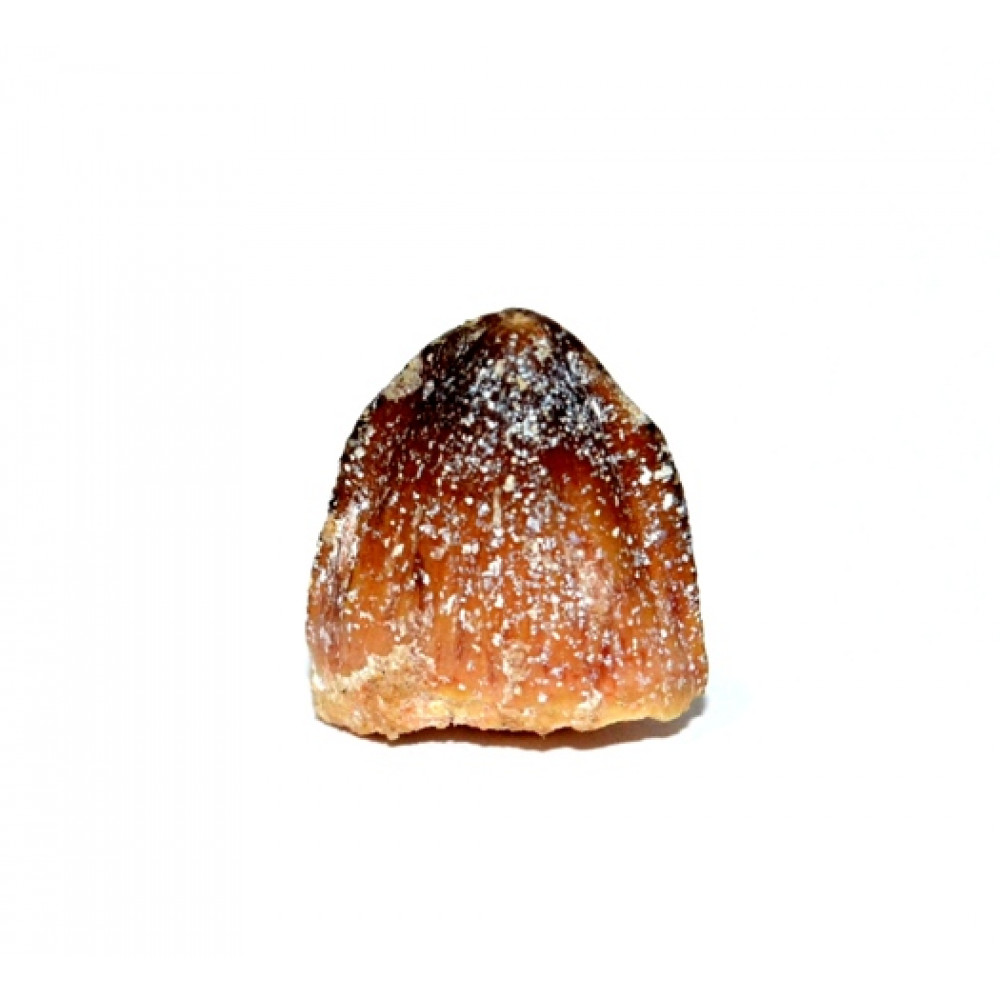 hamadasuchus rebouli